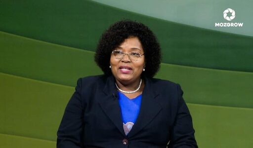 Distritos de Doa, Mapai e Boane registam desenvolvimento no sector de ...