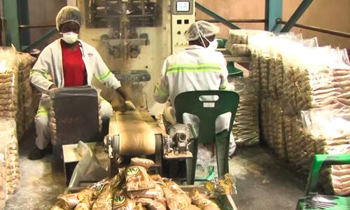 Trabalhadores já retomam actividades em Xinavane - O País - A verdade ...
