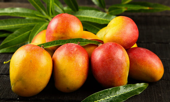 Moçambique entre os grandes expositores africanos de frutas e legumes ...