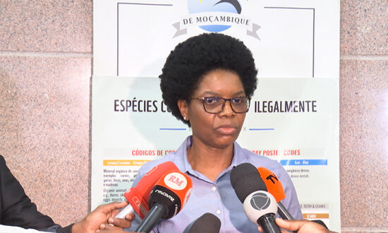 Muendane desafia as Alfândegas a assegurarem fronteiras aéreas - O País ...