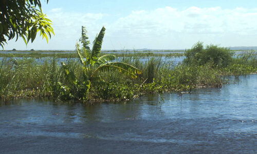 Incomáti transborda e inunda o distrito de Marracuene - O País - A ...
