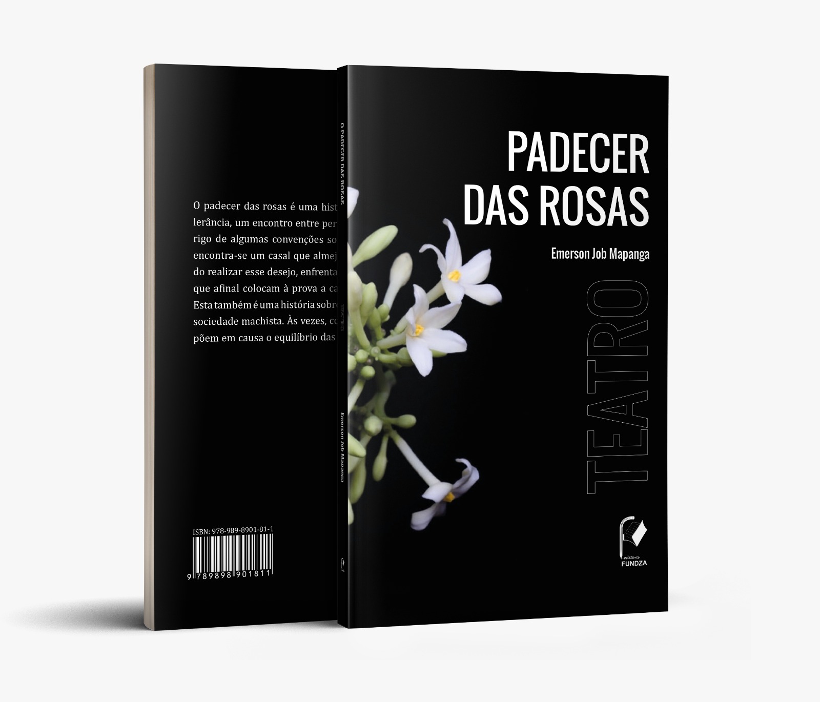 Emerson Job Mapanga lança Padecer das rosas na UP-Maputo - O País - A ...