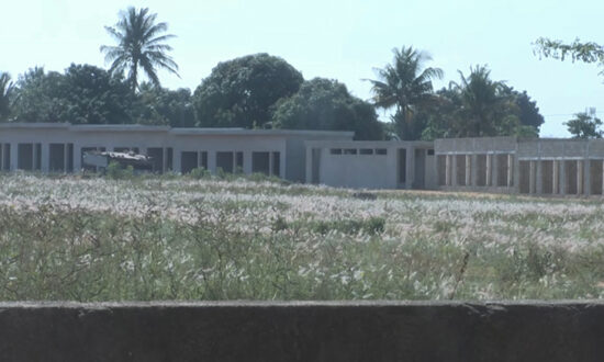 Laulane terá um novo mercado nos próximos dois anos - O País - A ...