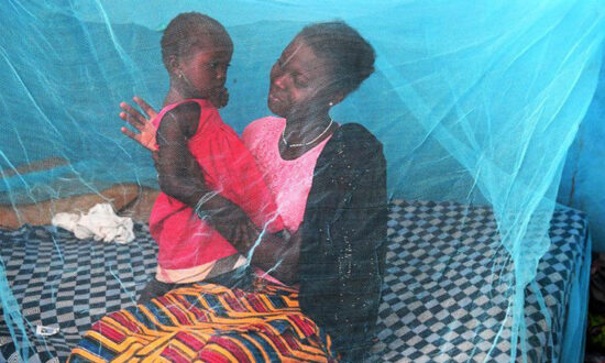 Reduzem casos de malária no distrito de Machaze, em Manica - O País - A ...