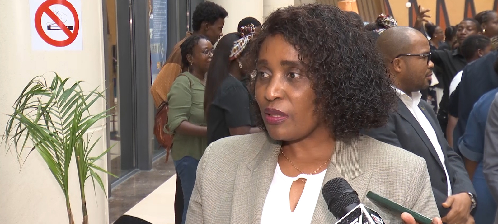 Ministra da Educação diz que certificados em atraso serão emitidos ...