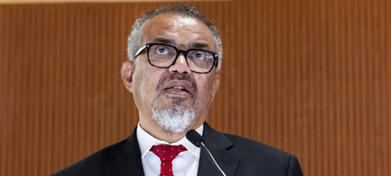 Director-Geral da OMS diz que paz é melhor remédio para problemas de ...