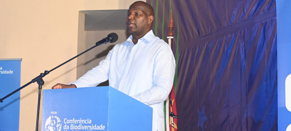 Chapo apela para maior investimento na educação ambiental - O País - A ...