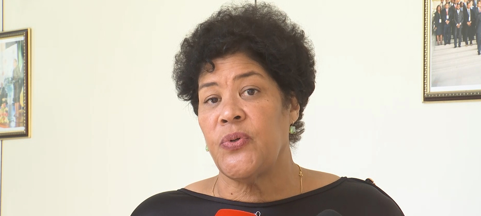 Nyeleti Mondlane e Chipande defendem que unidade nacional é fundamental ...