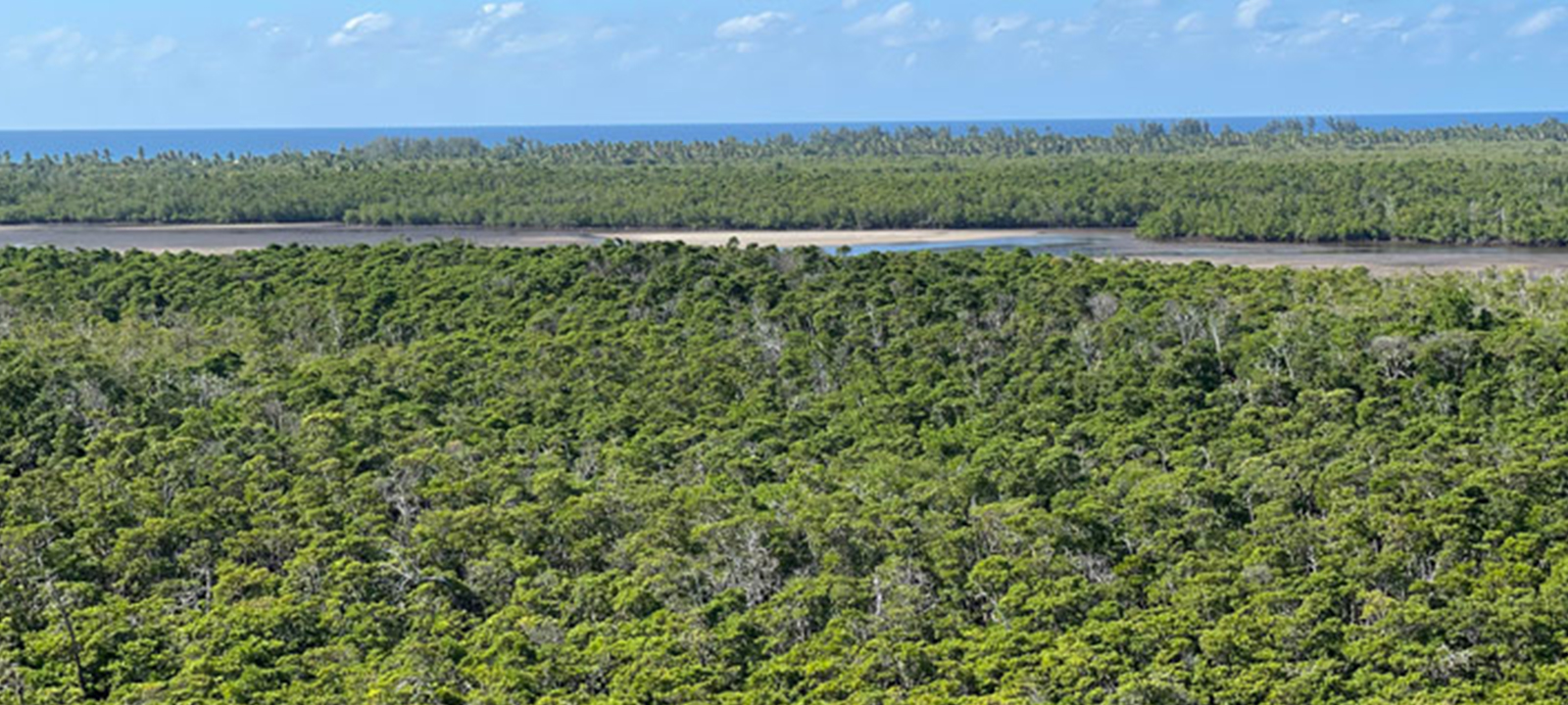 Reserva Nacional de Pomene sem turistas desde início do ano - O País ...