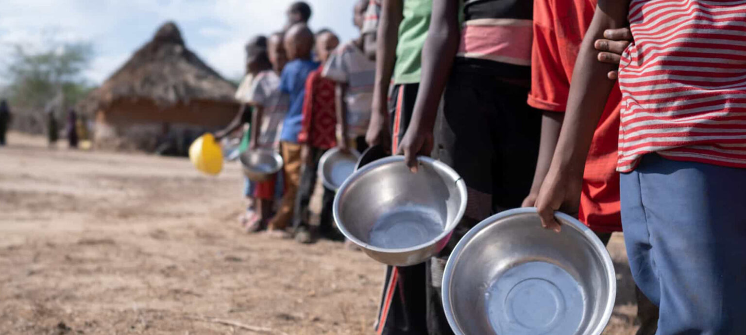 Segurança alimentar em Cabo Delgado não foi afectada pelo terrorismo ...
