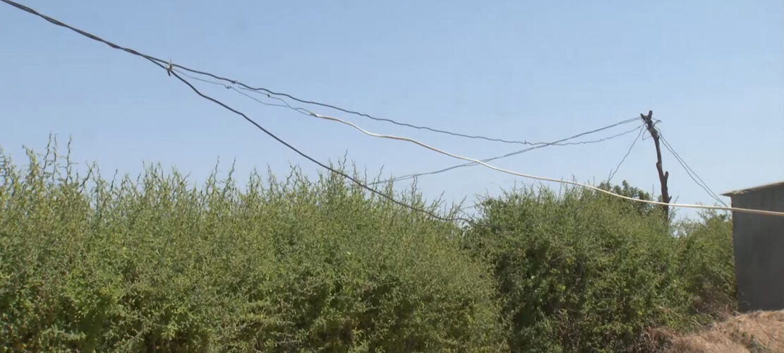 Moradores denunciam ligações clandestinas em Boquisso “A” e Mali - O ...